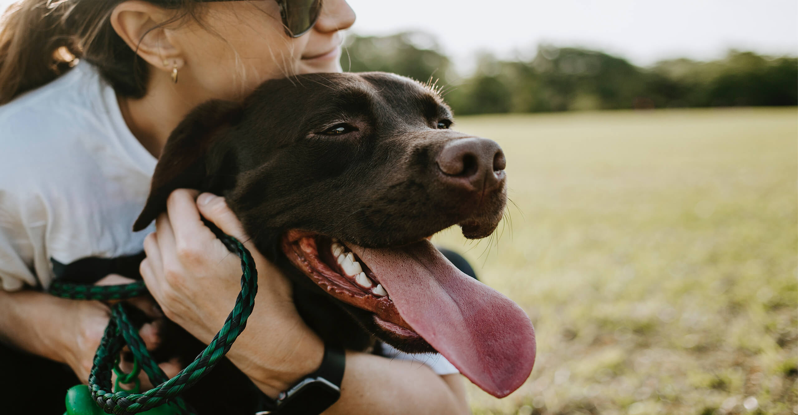 Rescued Rascals | Placing dogs into loving forever homes.